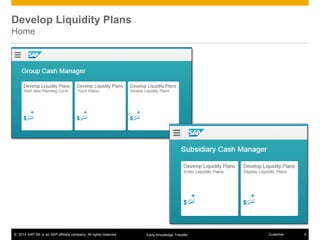 Liquidity management | PDF