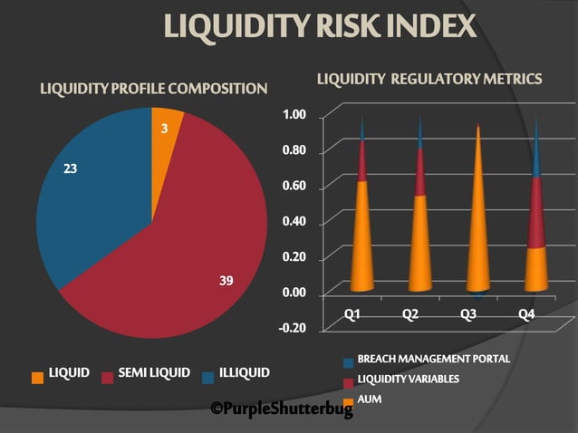 LIQUIDITY RISK INDEX | PPT