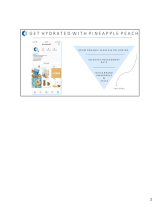 Liquid I.V. Social Media Proposal | PDF