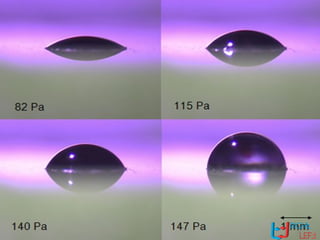 Everything you want to know about Liquid Lenses | PPT