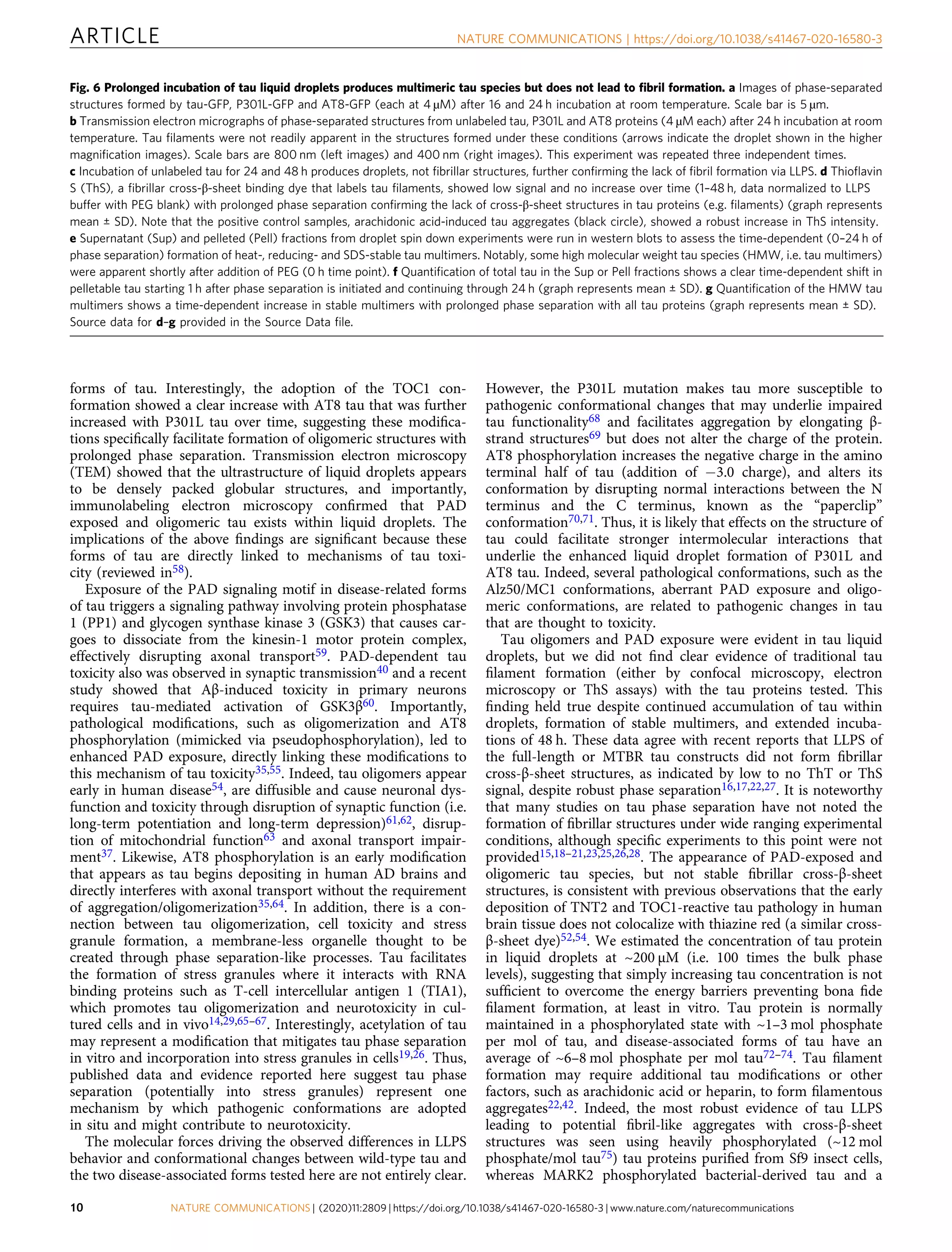 Liquid liquid phase separation | PDF