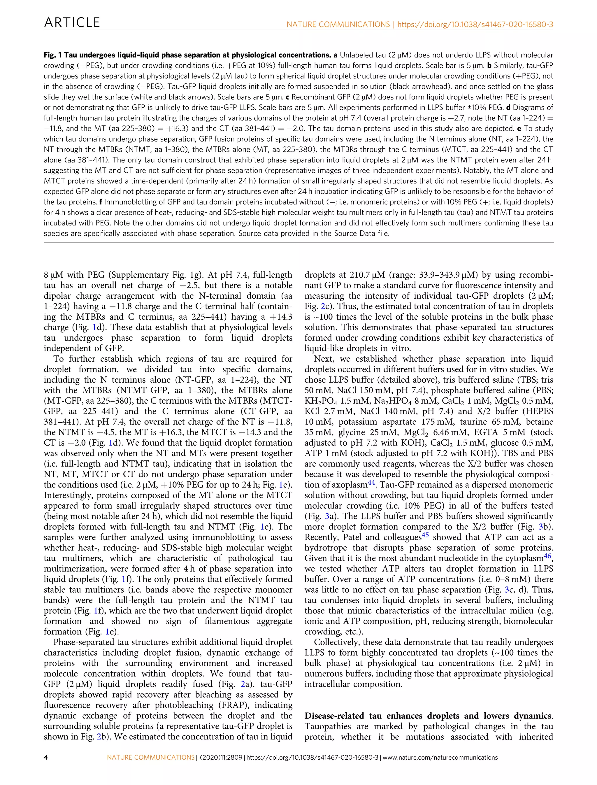 Liquid liquid phase separation | PDF