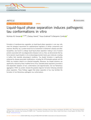 Liquid liquid phase separation | PDF