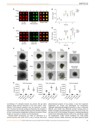 Liquid liquid phase separation | PDF