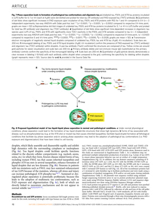 Liquid liquid phase separation | PDF