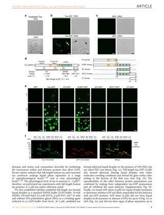 Liquid liquid phase separation | PDF