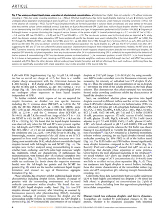 Liquid liquid phase separation | PDF