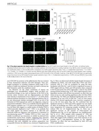 Liquid liquid phase separation | PDF