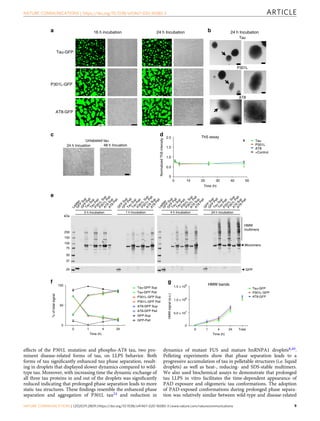 Liquid liquid phase separation | PDF