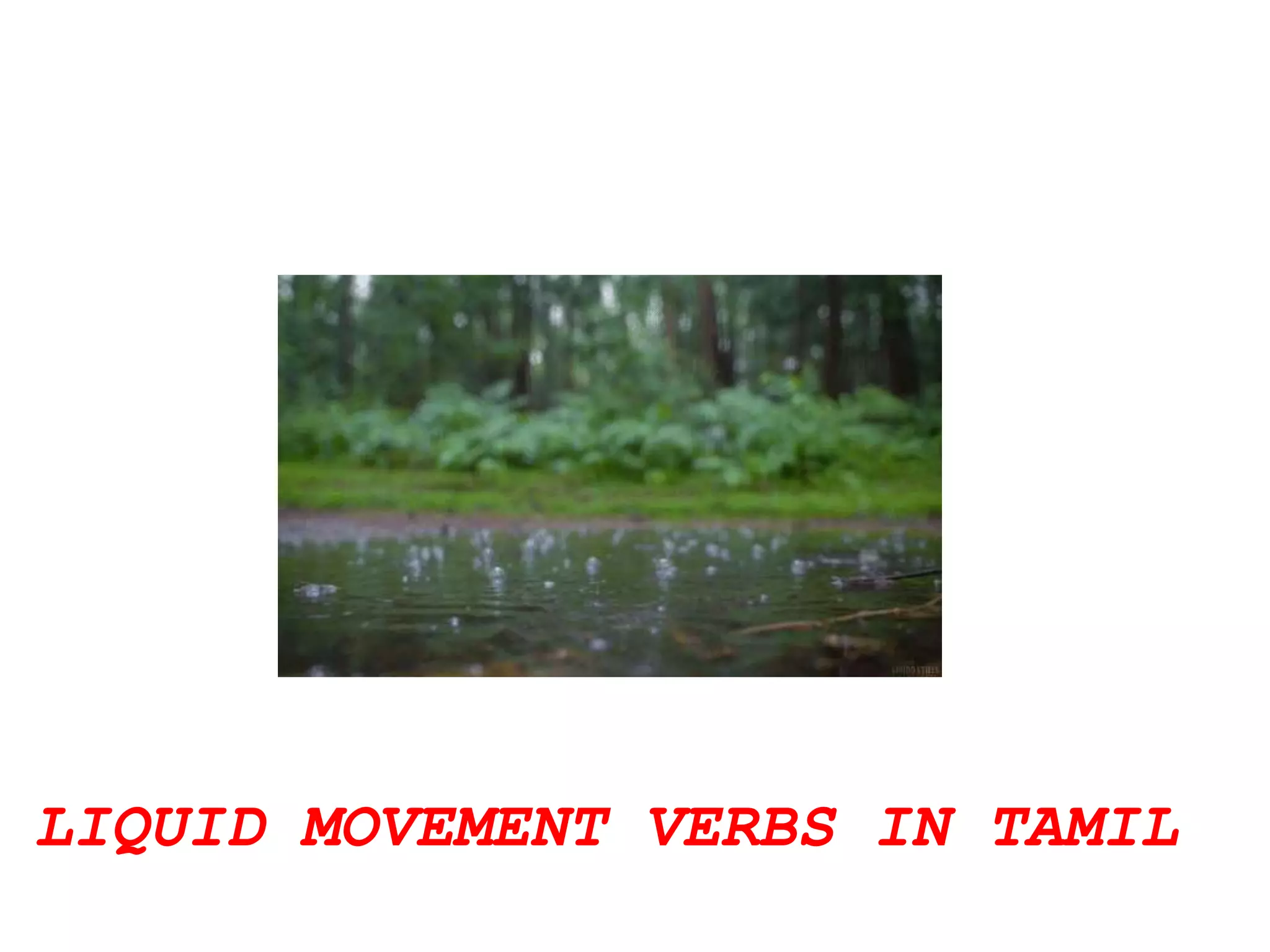 Movement verbs in Tamil | PPTX