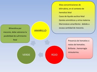 Liquido amniotico | PPTX