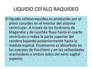 Liquido cefalo raquideo. | PPT