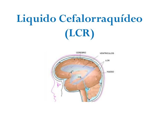 Liquido cefalorraquídeo (lcr)