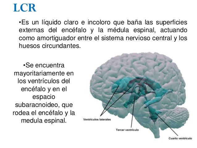Liquido cefalorraquídeo (lcr)