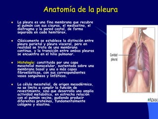 Liquido pleural | PDF