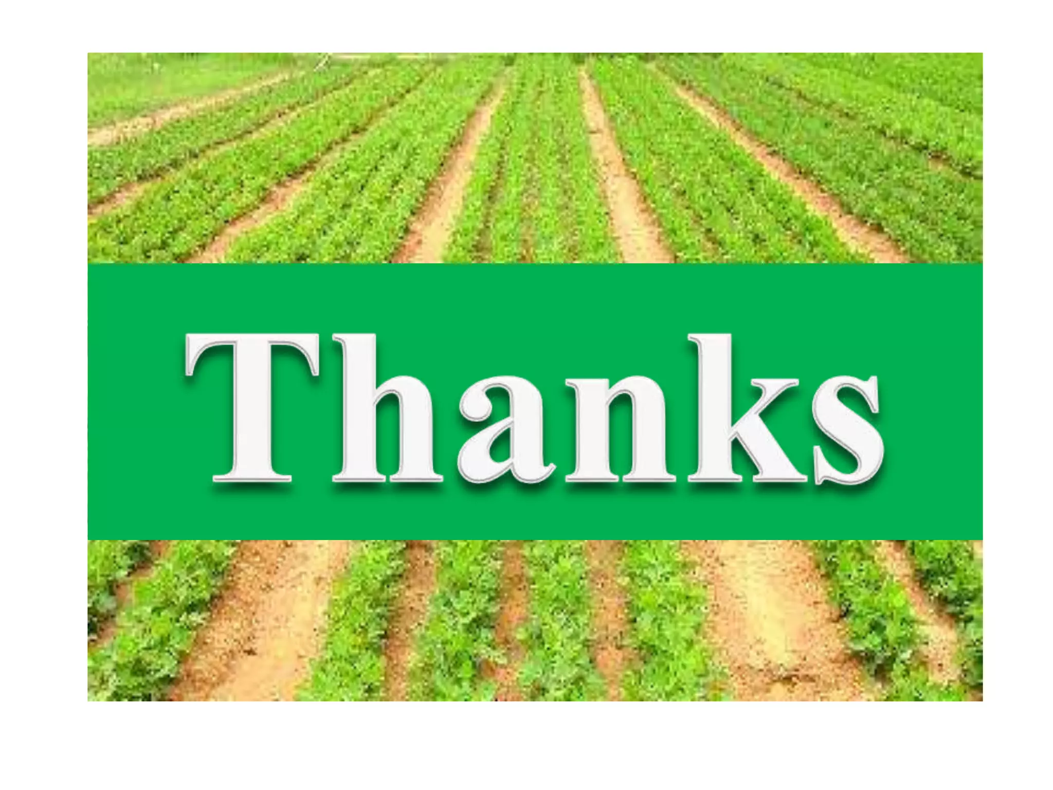 Liquid organic manures | PPTX