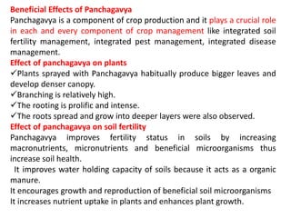 Liquid organic manures | PPTX
