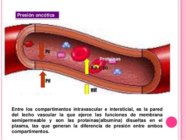 Liquidos en cirugia