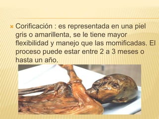 Liquidos de conservacion | PPTX