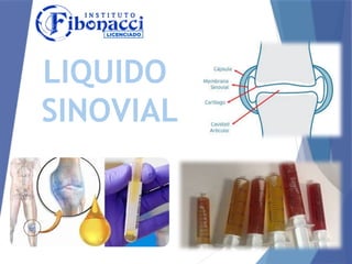 liquido sinovial flor 22.pptx enfermeria basica | PPTX