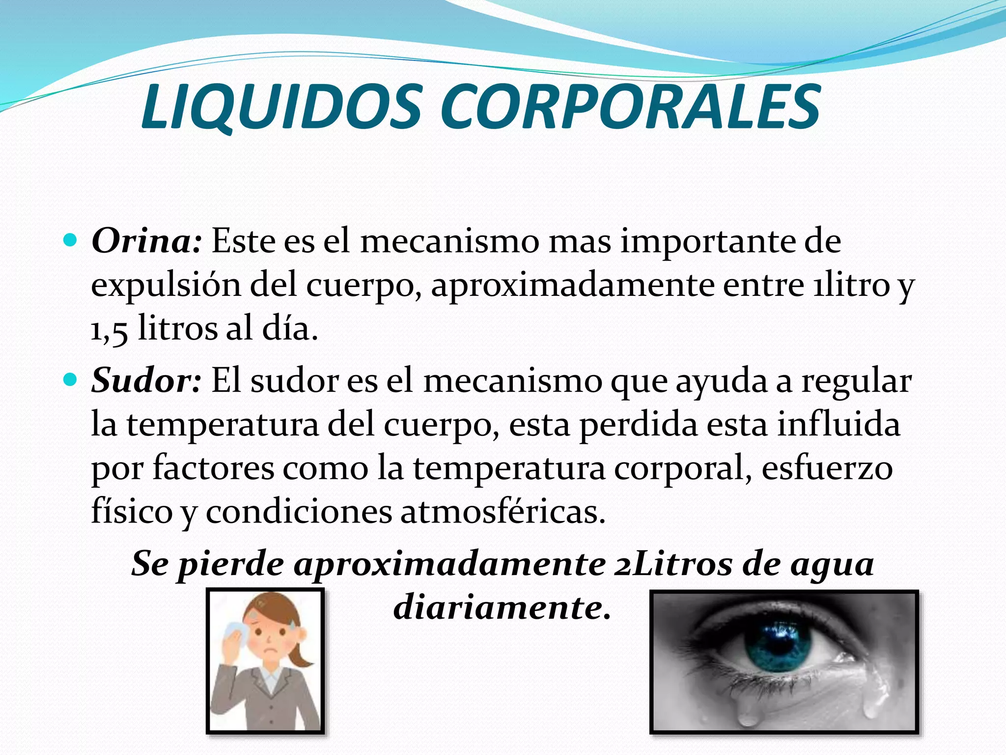 Liquidos y electrolitos corporales | PPTX