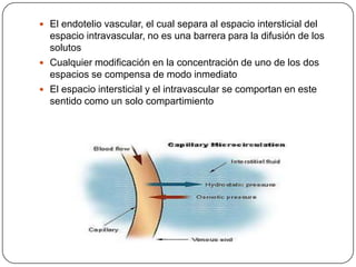 Liquidos y electrolitos en cirugia | PPTX