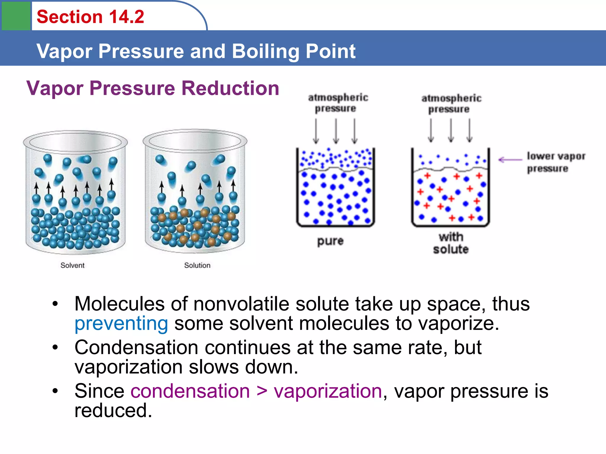 STPM Form 6 Chemistry Liquids and Vapour pressure | PPTX