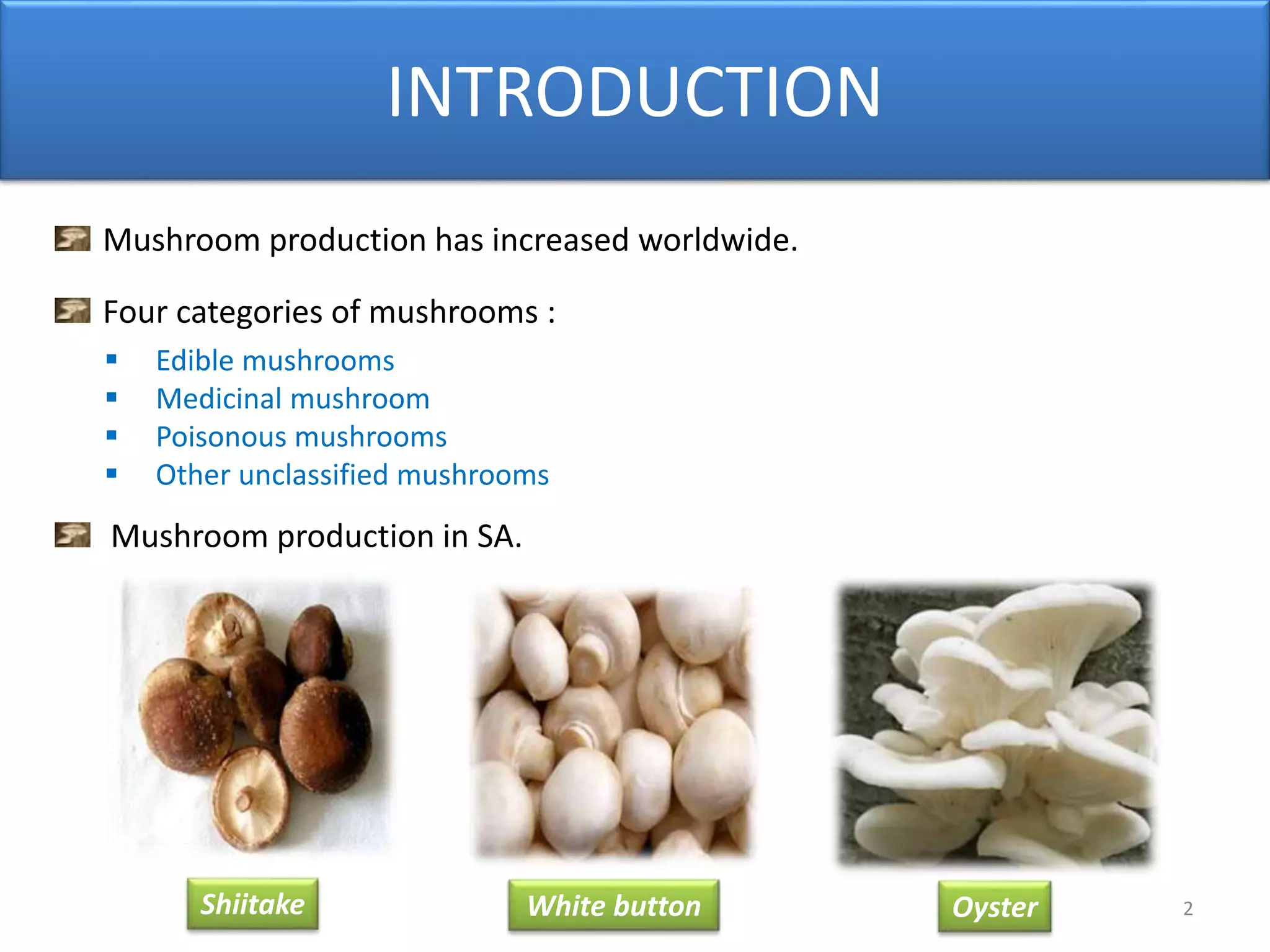 Liquid spawn cultivation of pleurotus spp. by submerged fermentation | PPT