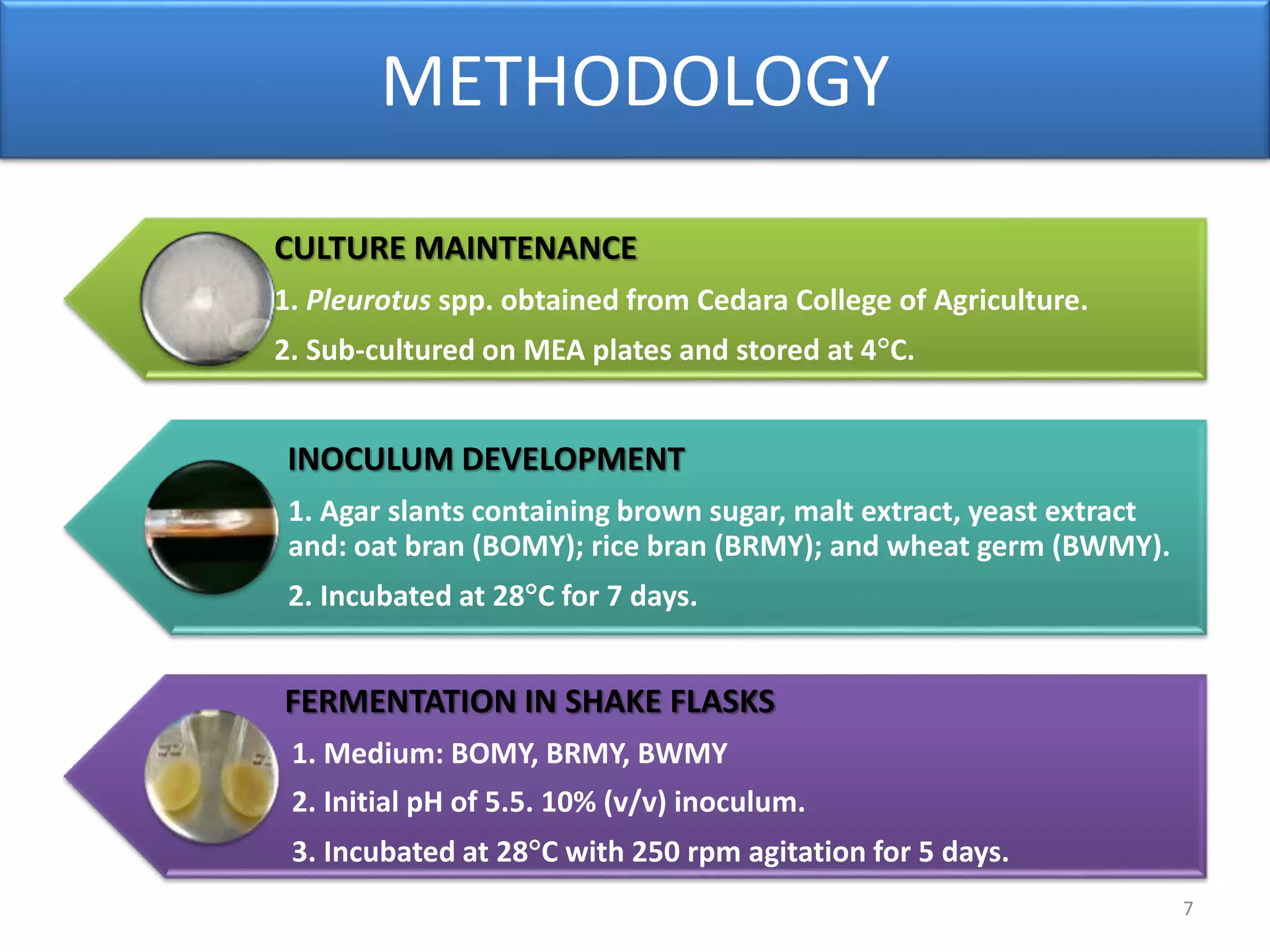 Liquid spawn cultivation of pleurotus spp. by submerged fermentation | PPT