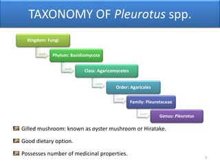 Liquid spawn cultivation of pleurotus spp. by submerged fermentation | PPT