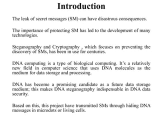 Liquid Steganography presentation.pptx