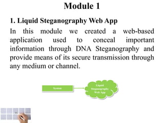 Liquid Steganography presentation.pptx