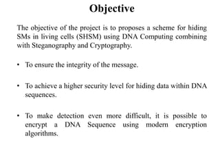 Liquid Steganography presentation.pptx
