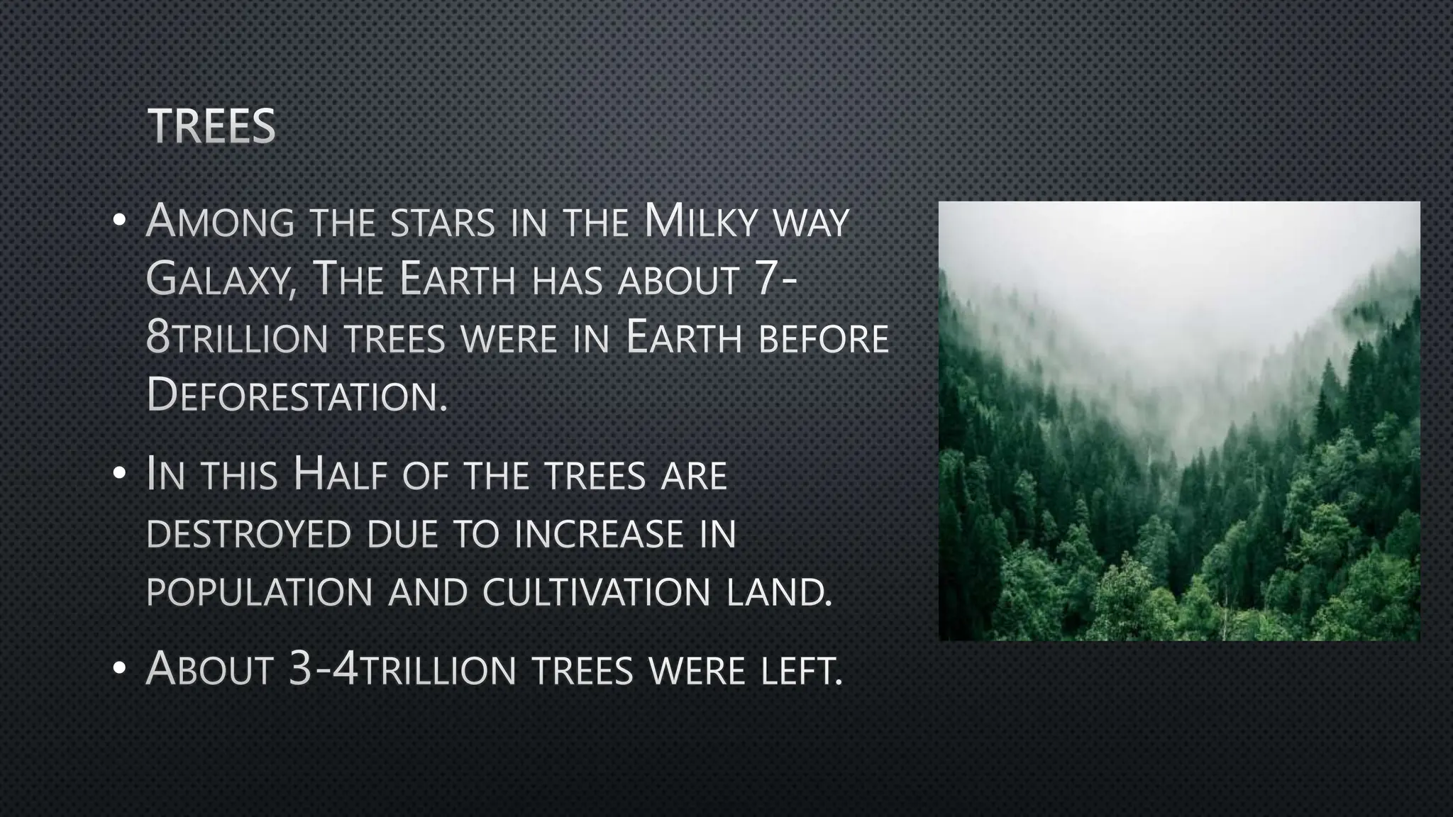 What is liquid tree and its explanation.pptx