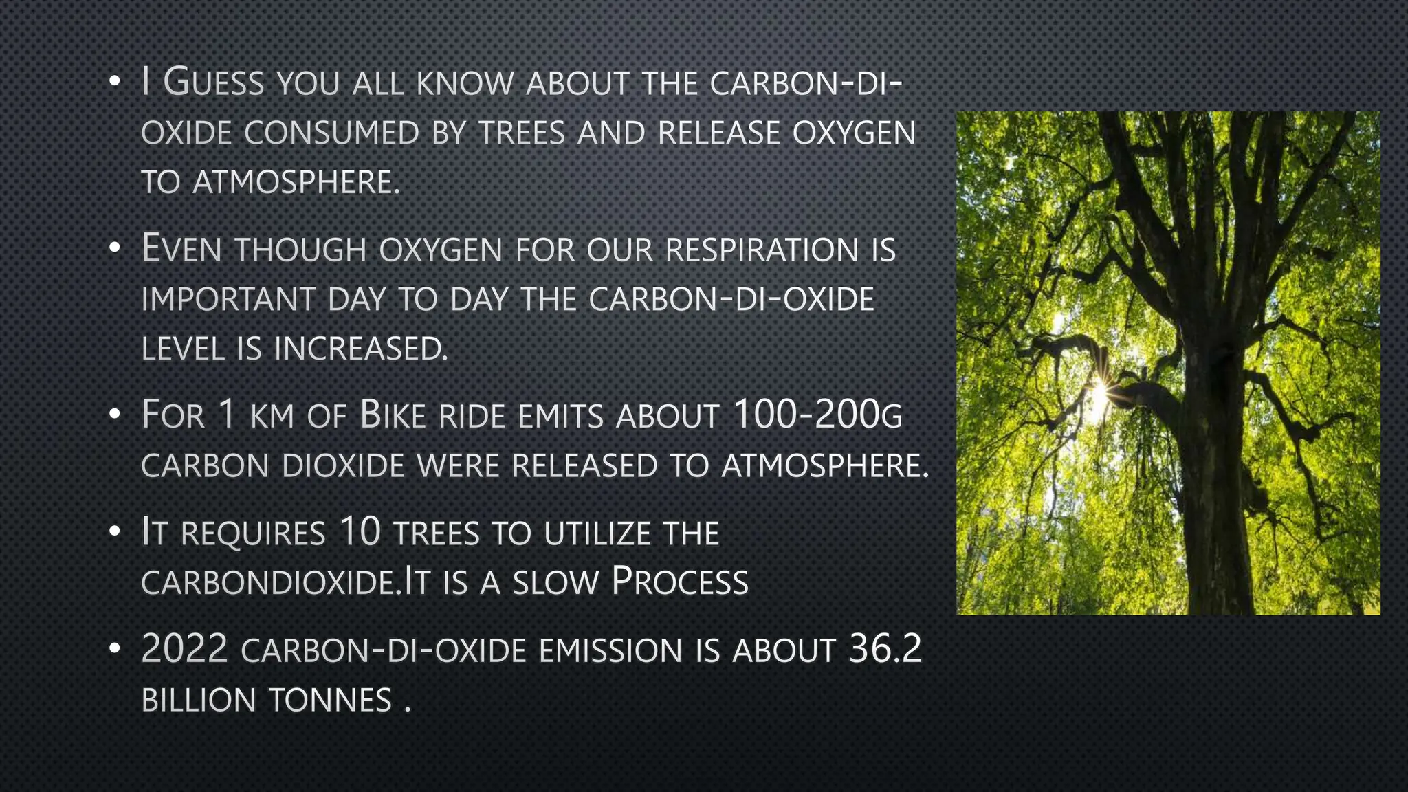 What is liquid tree and its explanation.pptx