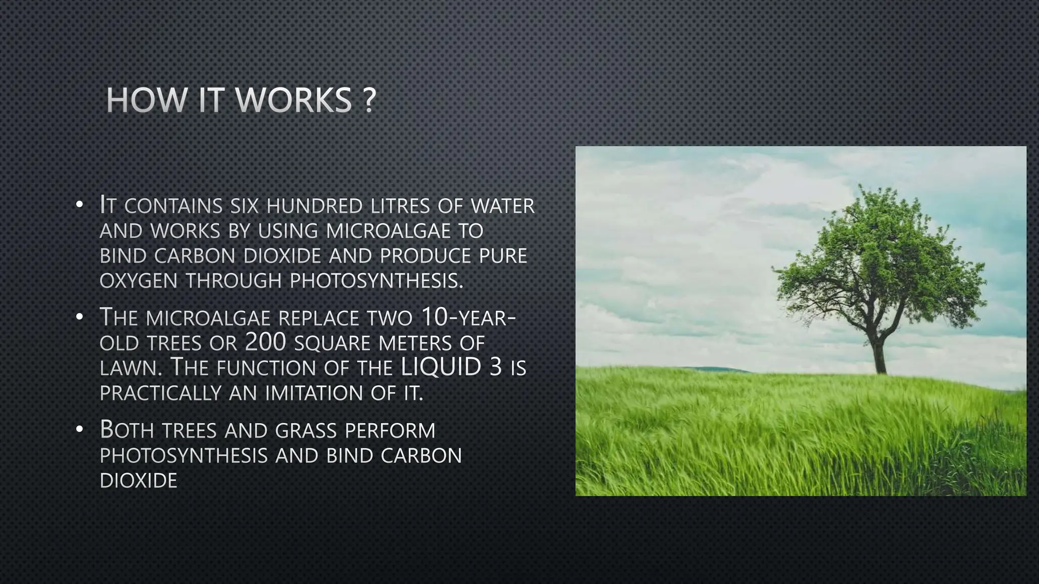 What is liquid tree and its explanation.pptx
