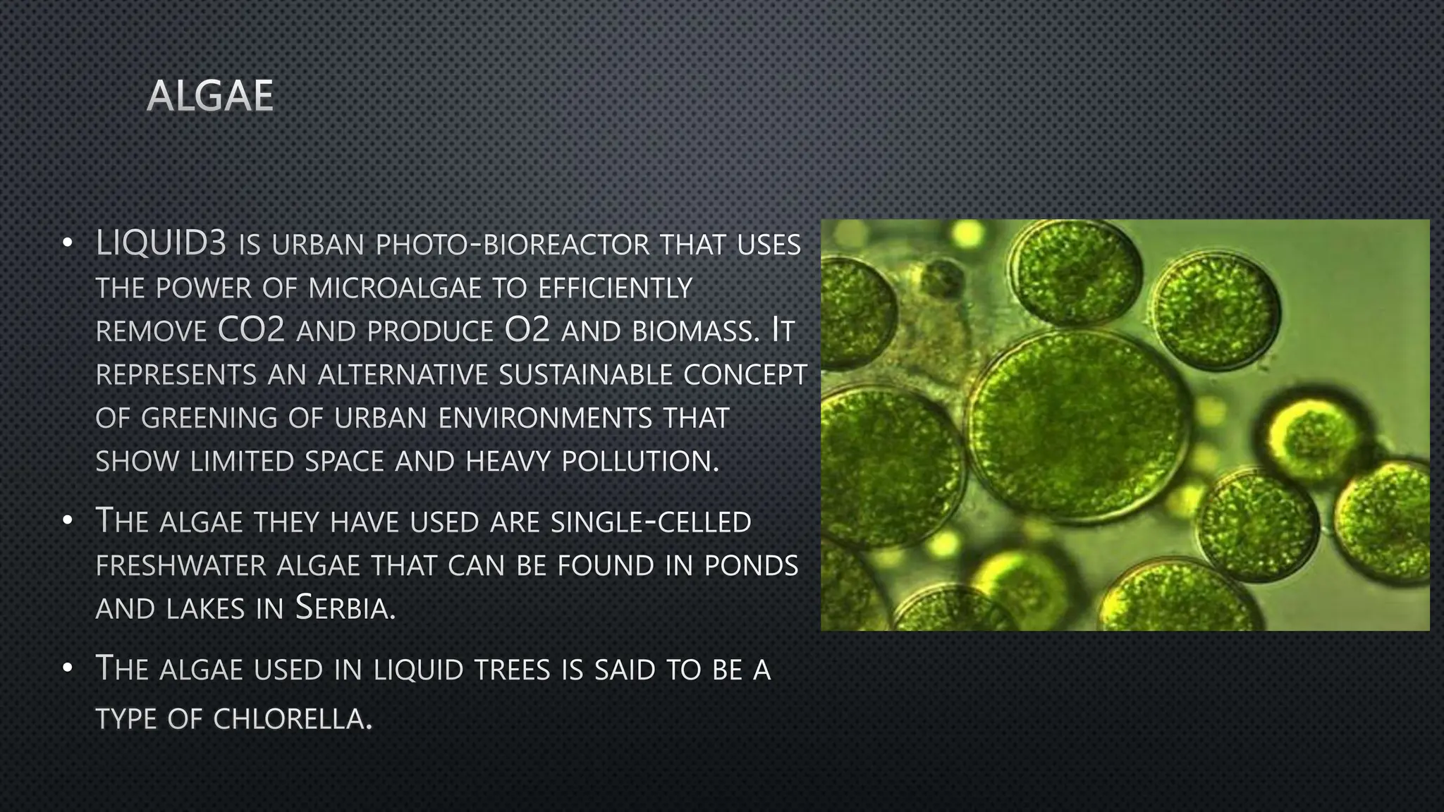What is liquid tree and its explanation.pptx