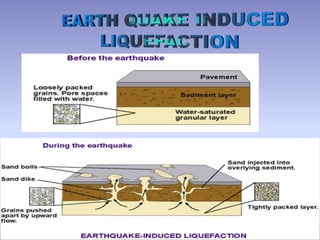 Liquifaction of soil by liju | PPT | Free Download