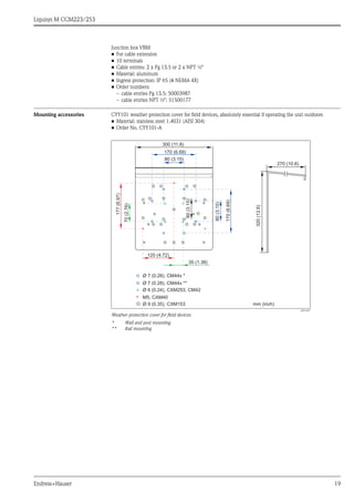 Liquisys m ccm223 ccm253 endress+hauser datasheet-chlorine transmitter ...