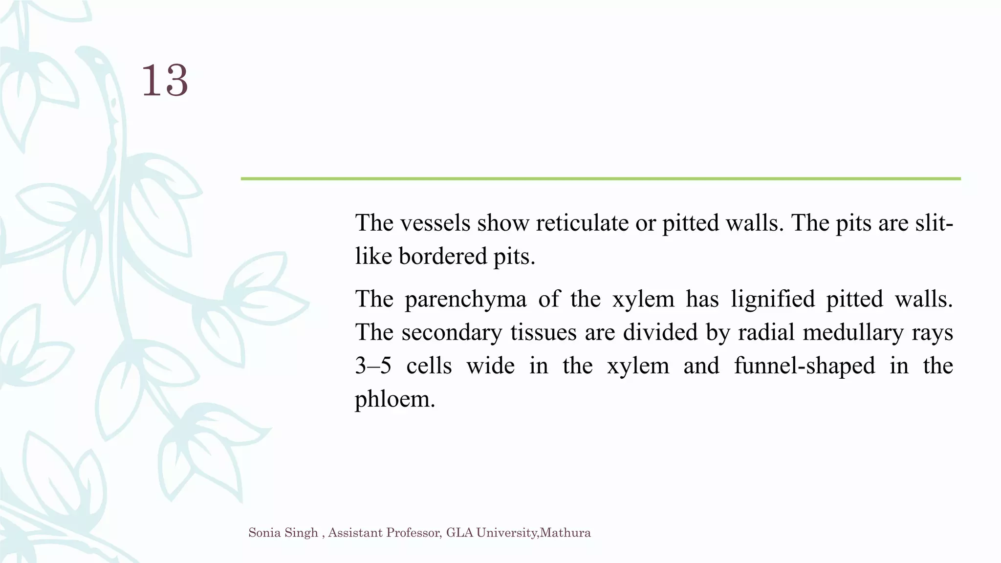 Liquorice: Biological source, cultivation and collection, Morphology ...