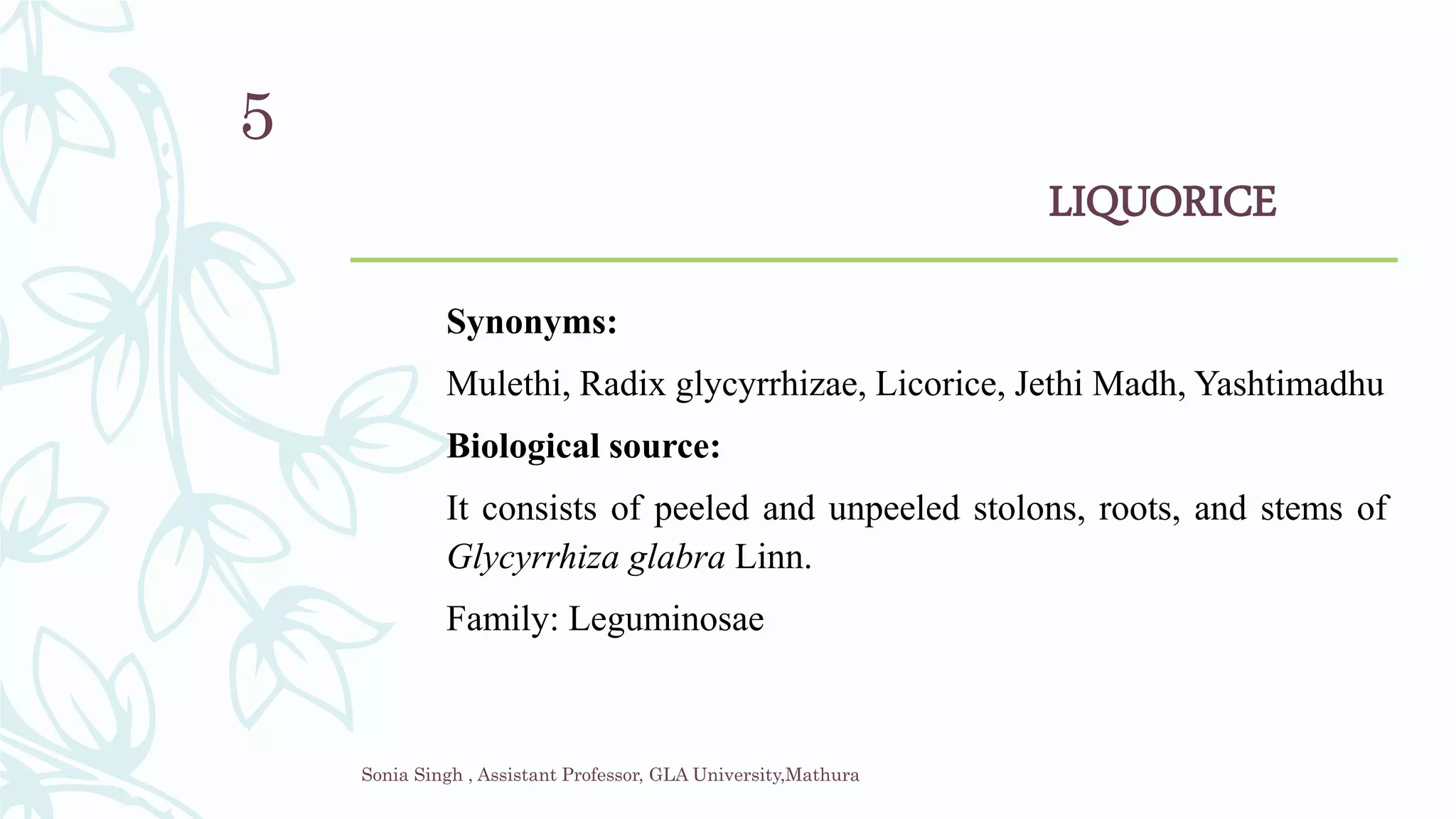 Liquorice: Biological source, cultivation and collection, Morphology ...