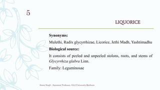 Liquorice: Biological source, cultivation and collection, Morphology ...