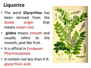 Liquorice.ppt 5th sem.ppt