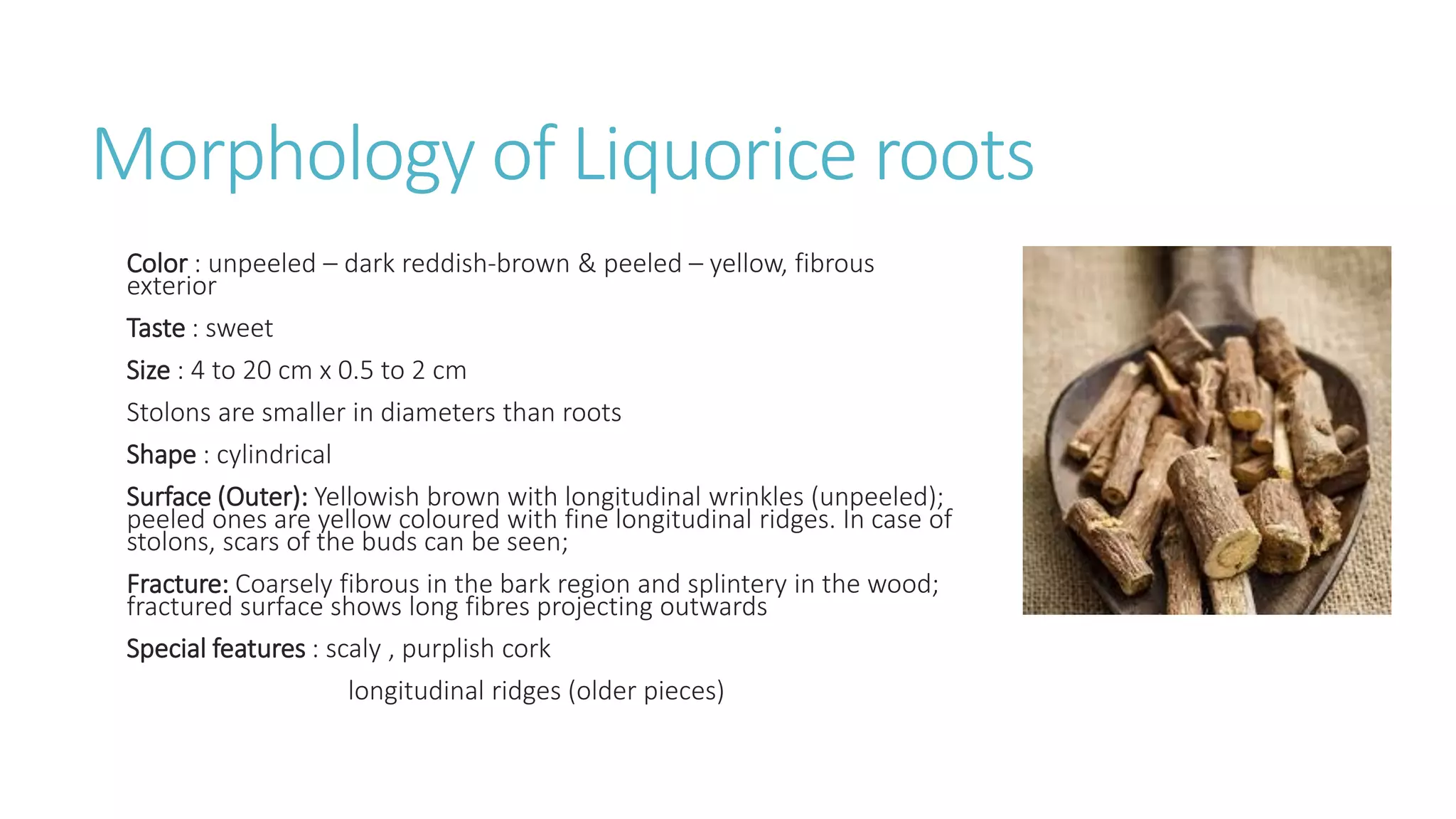 Liquorice (glycyrrhiza glabra linn.) | PDF