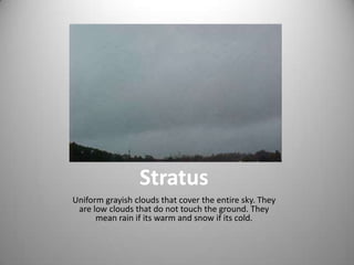 Weather Watchers | PPTX