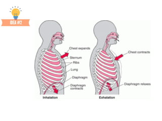 Lessons I learned at work | PDF
