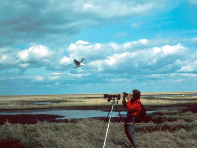 Lisa hoglen of antioch, ca outdoor enthusiast | PDF