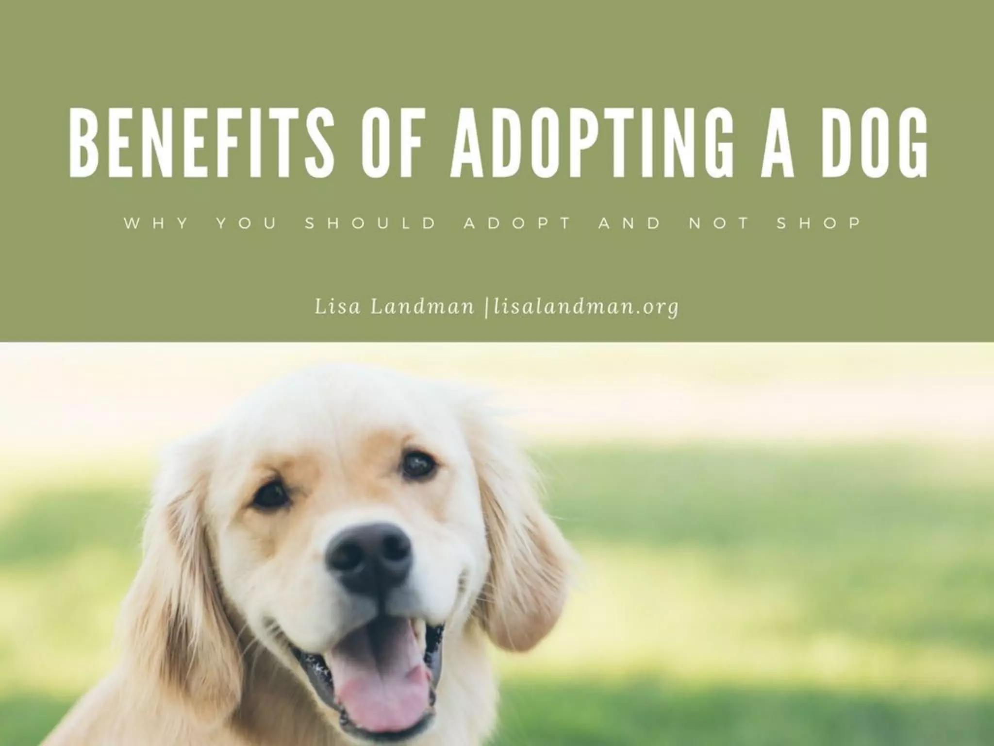 Benefits of Adopting a Dog | Lisa Landman | PDF