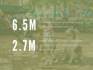 Benefits of Adopting a Dog | Lisa Landman | PPT