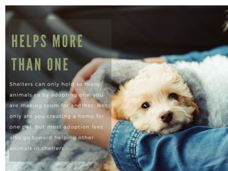 Benefits of Adopting a Dog | Lisa Landman | PPT